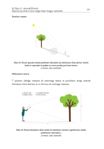 Martinova učna pot kot medgeneracijski park v Kamnici - Pedagoška ...